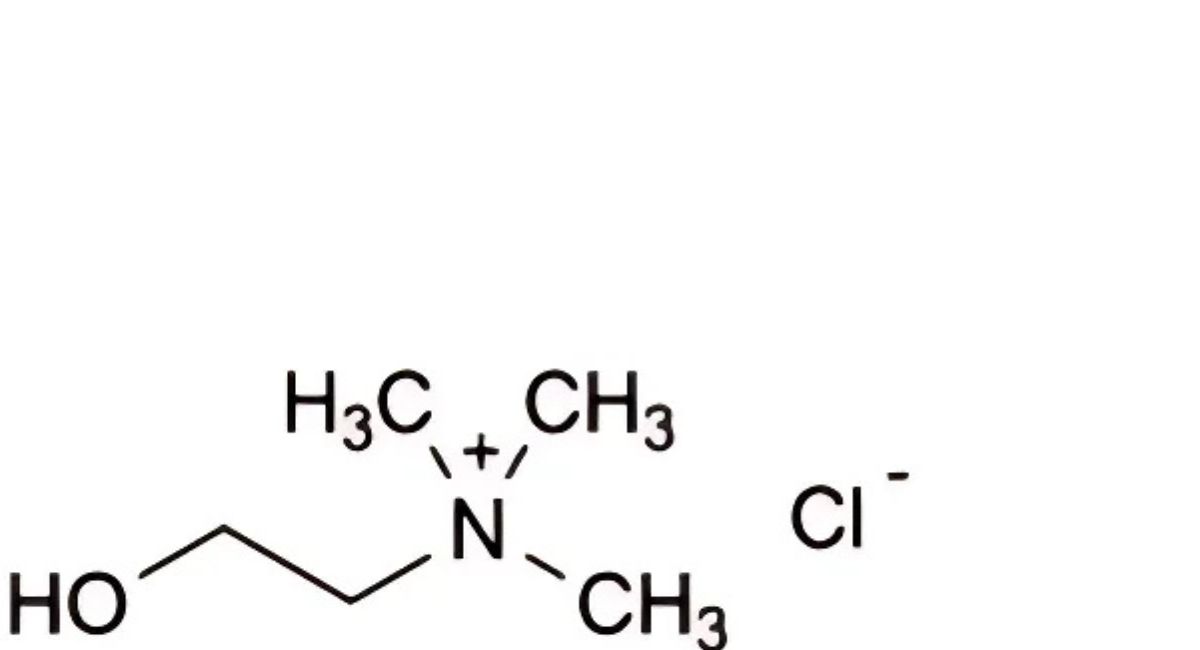 Acetylcholine Chloride - Definition, Characters - British Pharmacopeia 2025