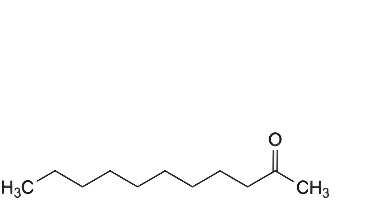 Sodium Caprylate- Definition, Characters- British Pharmacopoeia 2025