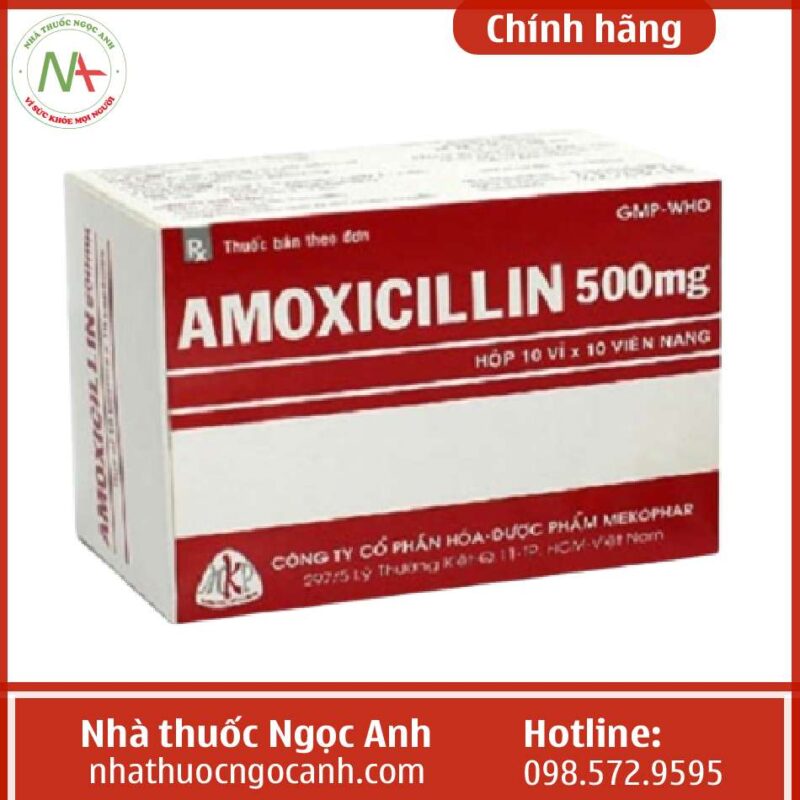 Thuốc AMOXICILLIN 500MG MEKOPHAR: Công dụng, liều dùng