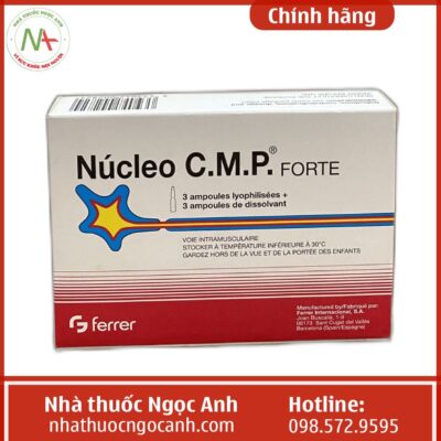 Thuốc Nucleo CMP Forte (bột pha tiêm): Công dụng, liều dùng, tác dụng phụ
