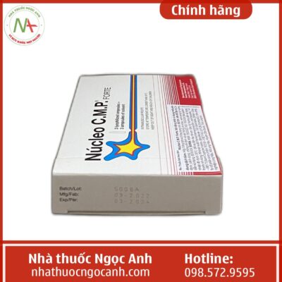Thuốc Nucleo CMP Forte (bột pha tiêm): Công dụng, liều dùng, tác dụng phụ