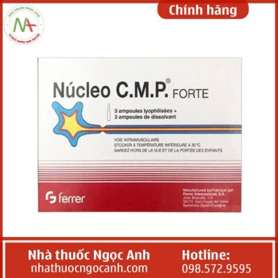 Thuốc Nucleo CMP Forte (bột pha tiêm): Công dụng, liều dùng, tác dụng phụ