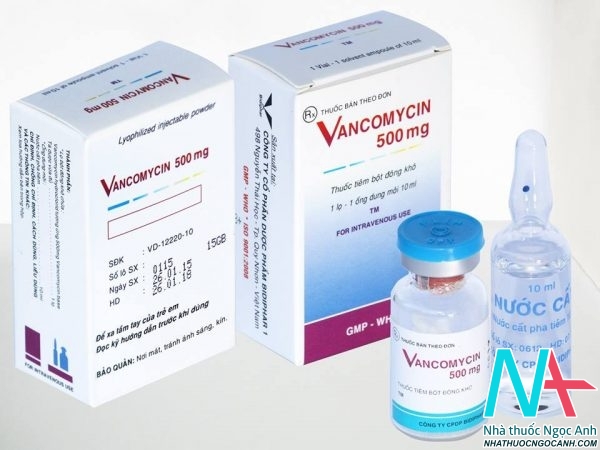 Thuốc VANCOMYCIN điều trị nhiễm khuẩn trong viêm màng trong tim