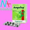 Thuốc Ampelop: Công dụng, liều dùng, lưu ý tác dụng phụ, giá bán