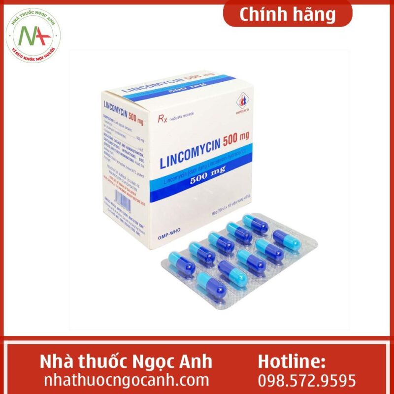 Thuốc Lincomycin Domesco 500mg là thuốc gì, giá bao nhiêu, mua ở đâu
