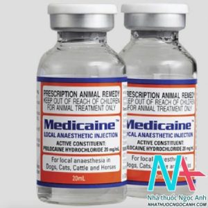 Nhà thuốc online Ngọc Anh mua thuốc trực tuyến uy tín tại Hà Nội