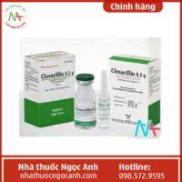 Thuốc Cloxacillin 0,5g Bidiphar là thuốc gì, giá bao nhiêu, mua ở đâu