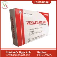Thuốc Vinaflam 500 chữa trị bệnh gì, giá bao nhiêu, mua ở đâu?