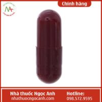 Thuốc PM NextG Cal nên uống khi nào, giá bao nhiêu, mua ở đâu?