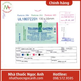 Telebrix Gastro 300mg l/ml là thuốc gì, giá bao nhiêu, mua ở đâu?
