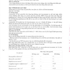 Thuốc Alclav 1.2g là thuốc gì? Giá bao nhiêu? Mua ở đâu?