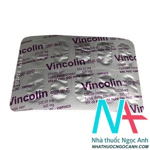 Thuốc Vincolin: Công dụng, liều dùng, lưu ý tác dụng phụ, giá bán