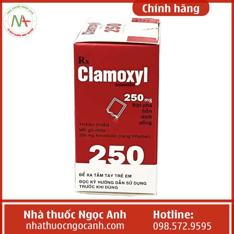 Thuốc Clamoxyl 250mg có tác dụng gì, cách dùng, giá bao nhiêu, mua ở đâu?