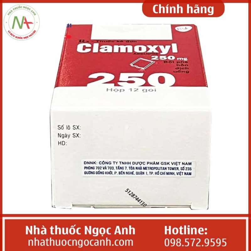 Thuốc Clamoxyl 250mg có tác dụng gì, cách dùng, giá bao nhiêu, mua ở đâu?