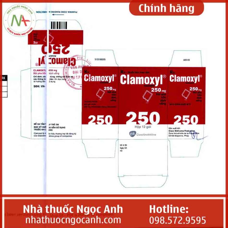 Thuốc Clamoxyl 250mg có tác dụng gì, cách dùng, giá bao nhiêu, mua ở đâu?