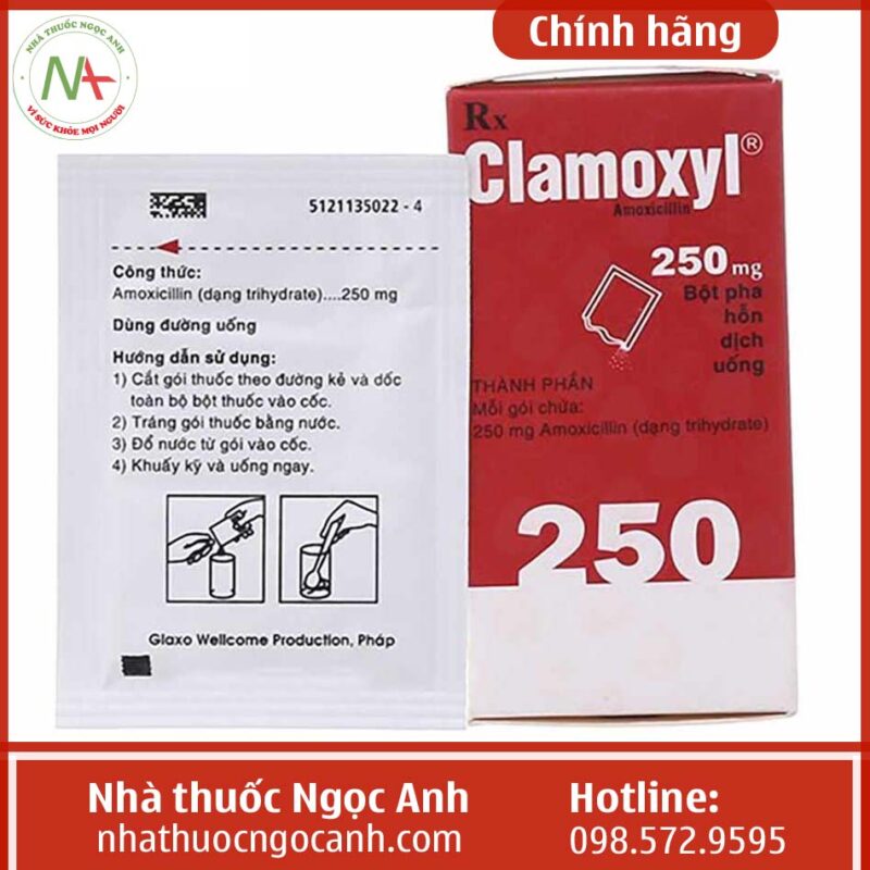 Thuốc Clamoxyl 250mg có tác dụng gì, cách dùng, giá bao nhiêu, mua ở đâu?