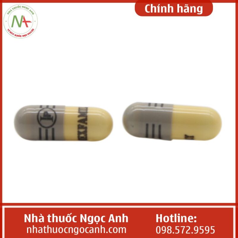Thuốc A.C Mexcold là thuốc gì, có tác dụng gì, mua ở đâu, giá bao nhiêu?