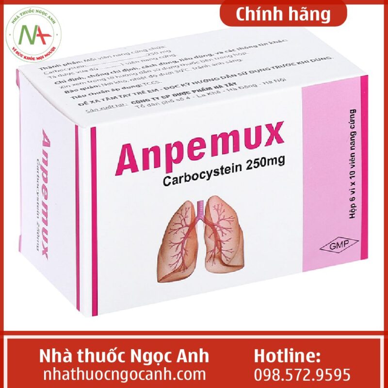 Thuốc Anpemux 250mg là thuốc gì, giá bao nhiêu, mua ở đâu?