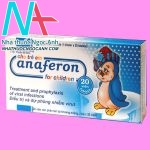 Thuốc Anaferon: Công dụng, liều dùng, lưu ý tác dụng phụ, giá bán
