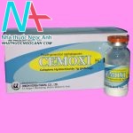 Thuốc Cemoxi 1g là thuốc gì? giá bao nhiêu? mua ở đâu?