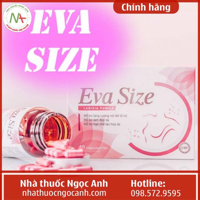 Thuốc Eva Size là thuốc gì, có tốt không, giá bao nhiêu, mua ở đâu