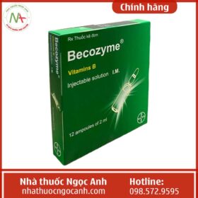 Thuốc Becozyme Inj 2ml có tác dụng gì, giá bao nhiêu, mua ở đâu?