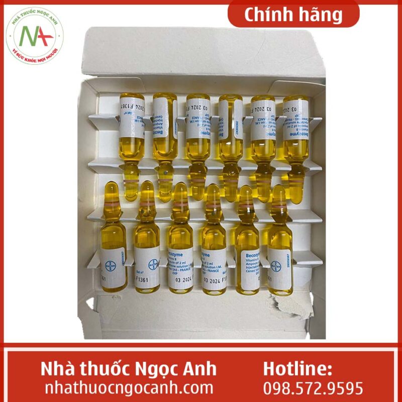 Thuốc Becozyme Inj 2ml có tác dụng gì, giá bao nhiêu, mua ở đâu?