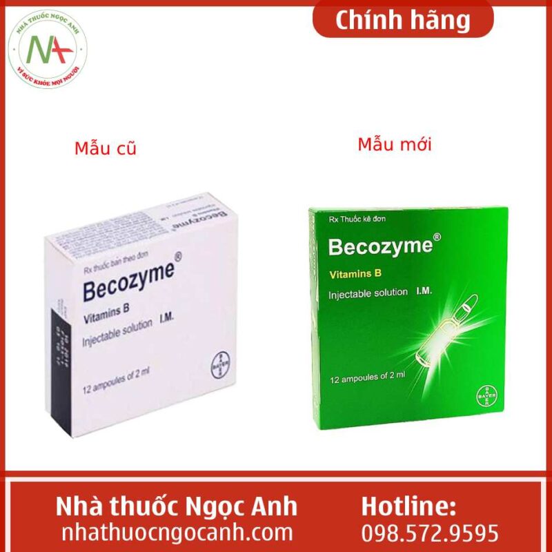 Thuốc Becozyme Inj 2ml có tác dụng gì, giá bao nhiêu, mua ở đâu?