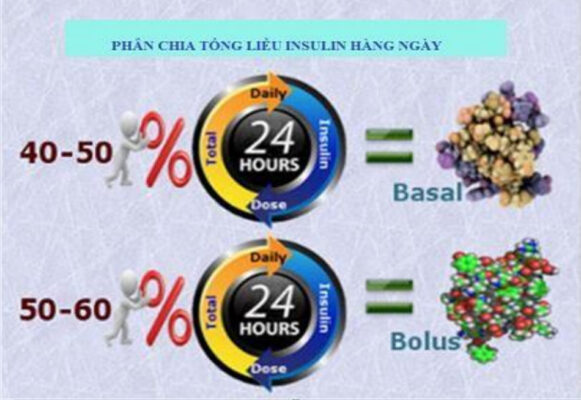 Phác đồ INSULIN cho người bệnh nội trú