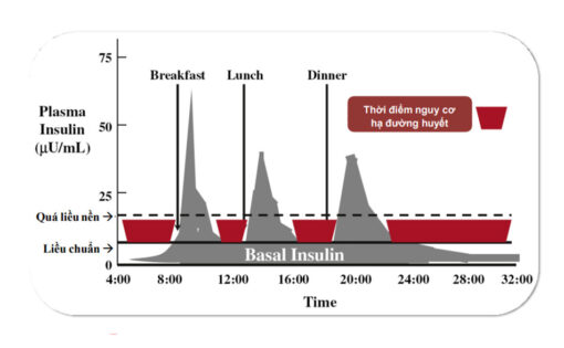Phác đồ INSULIN cho người bệnh nội trú