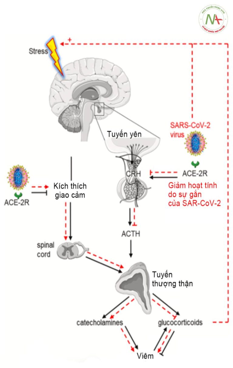Rối loạn tâm thần trong thời kỳ dịch COVID-19