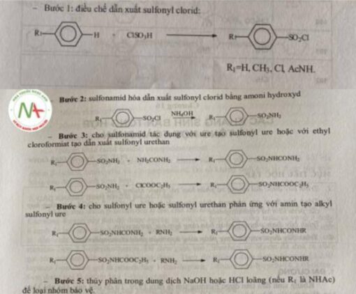 Sulfamid là nhóm thuốc gì? Cơ chế và phân loại điều trị