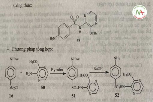 Sulfamid là nhóm thuốc gì? Cơ chế và phân loại điều trị