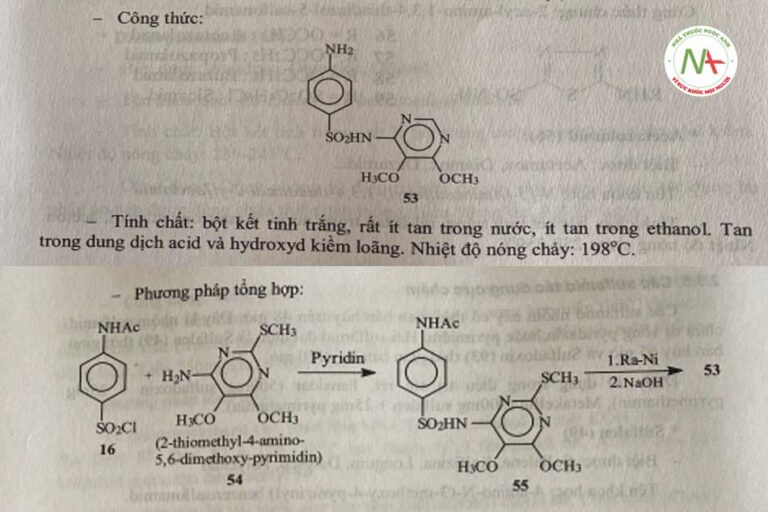 Sulfamid là nhóm thuốc gì? Cơ chế và phân loại điều trị