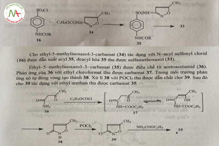 Sulfamid là nhóm thuốc gì? Cơ chế và phân loại điều trị