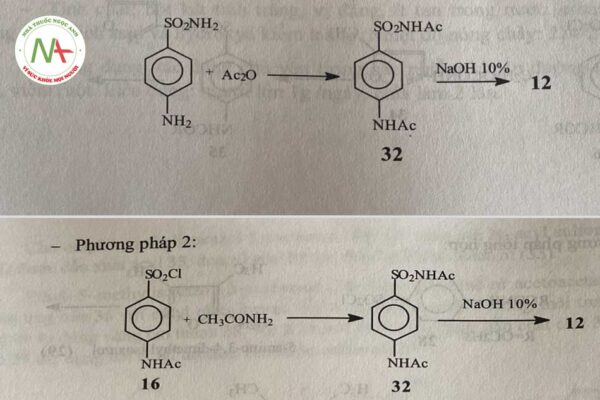 Sulfamid là nhóm thuốc gì? Cơ chế và phân loại điều trị