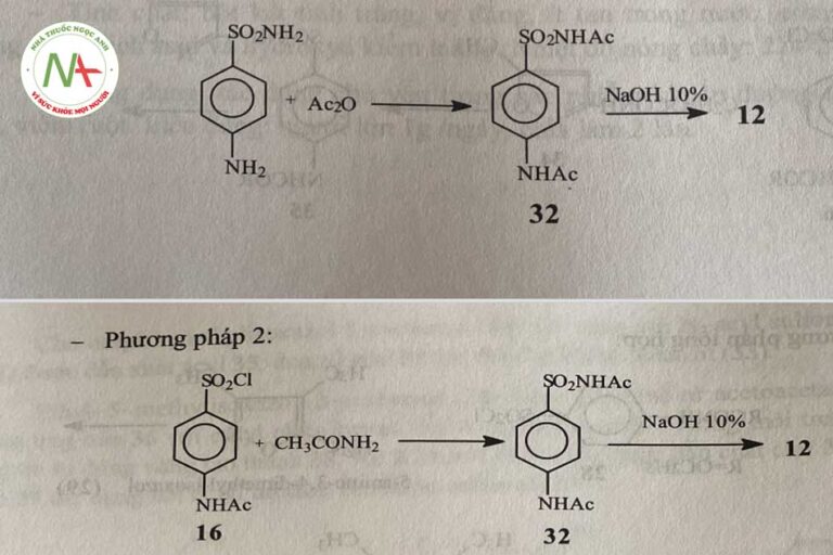 Sulfamid là nhóm thuốc gì? Cơ chế và phân loại điều trị