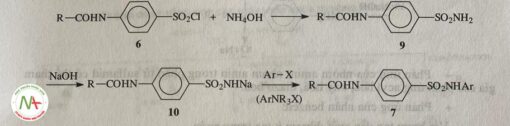 Sulfamid là nhóm thuốc gì? Cơ chế và phân loại điều trị