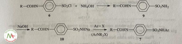 Sulfamid là nhóm thuốc gì? Cơ chế và phân loại điều trị