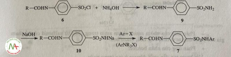 Sulfamid là nhóm thuốc gì? Cơ chế và phân loại điều trị