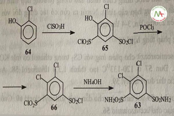 Sulfamid là nhóm thuốc gì? Cơ chế và phân loại điều trị