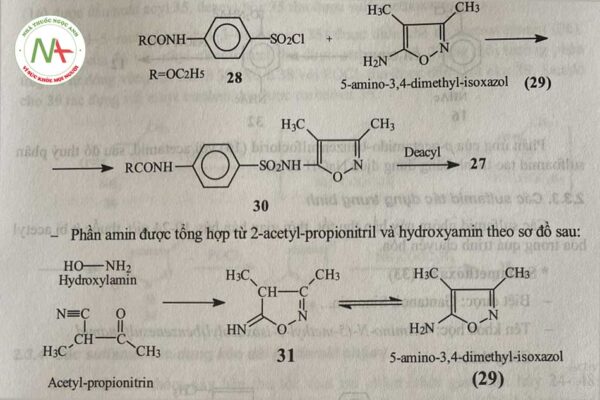 Sulfamid là nhóm thuốc gì? Cơ chế và phân loại điều trị