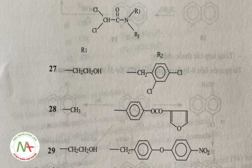 Một số nhóm thuốc chữa chữa lỵ amip: Cơ chế và cách dùng