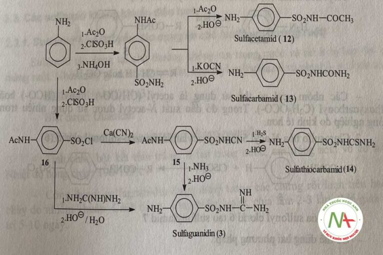 Sulfamid là nhóm thuốc gì? Cơ chế và phân loại điều trị