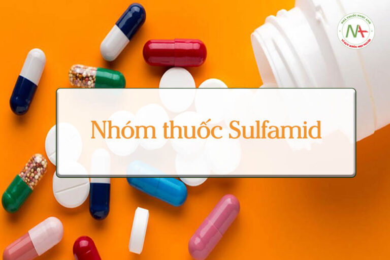 Sulfamid là nhóm thuốc gì? Cơ chế và phân loại điều trị