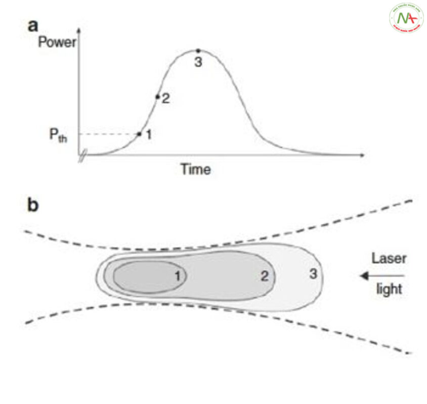 Sự tương tác giữa Laser - Mô ứng dụng trong y học
