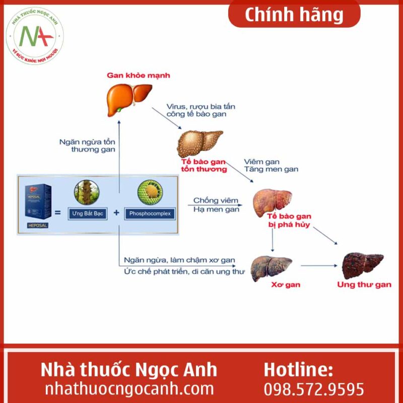 Heposal là thuốc hay thực phẩm chức năng, giá bao nhiêu, mua ở đâu
