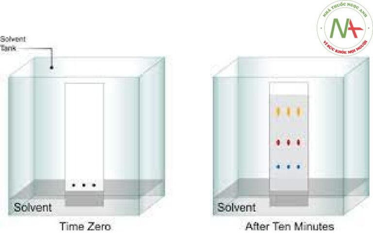 Phương pháp sắc kí lớp mỏng và những ứng dụng trong thực tiễn