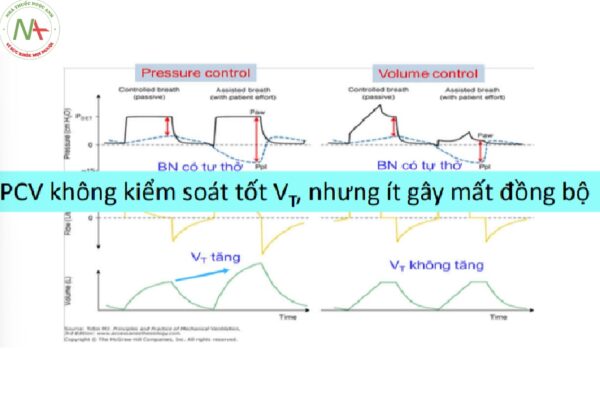 ALGORITHM cài đặt máy thở ban đầu cho bệnh nhân ARDS