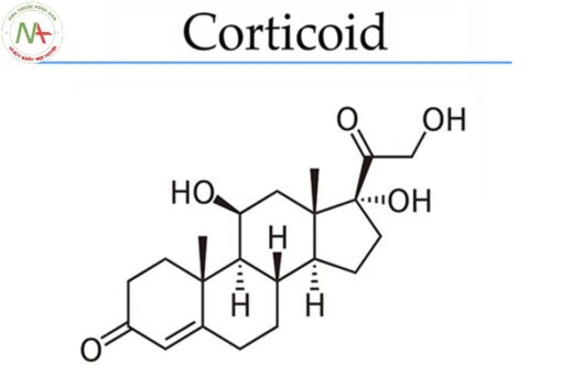Glucocorticoid là gì? Có công dụng gì? Cần lưu ý gì khi sử dụng ...